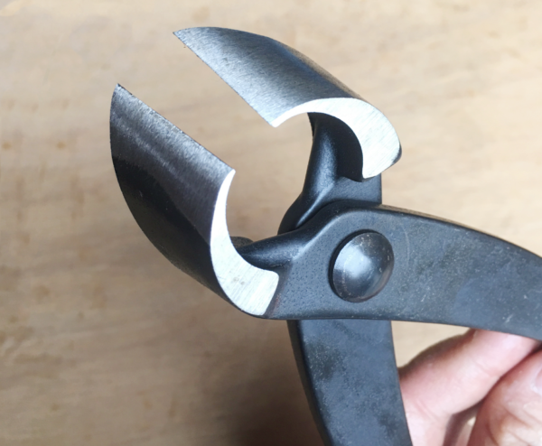 Carbon Steel Concave Cutter 210mm – NZ No1 Bonsai Pots supplier