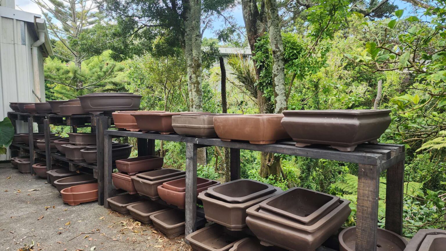 NZ No1 Bonsai Pots supplier