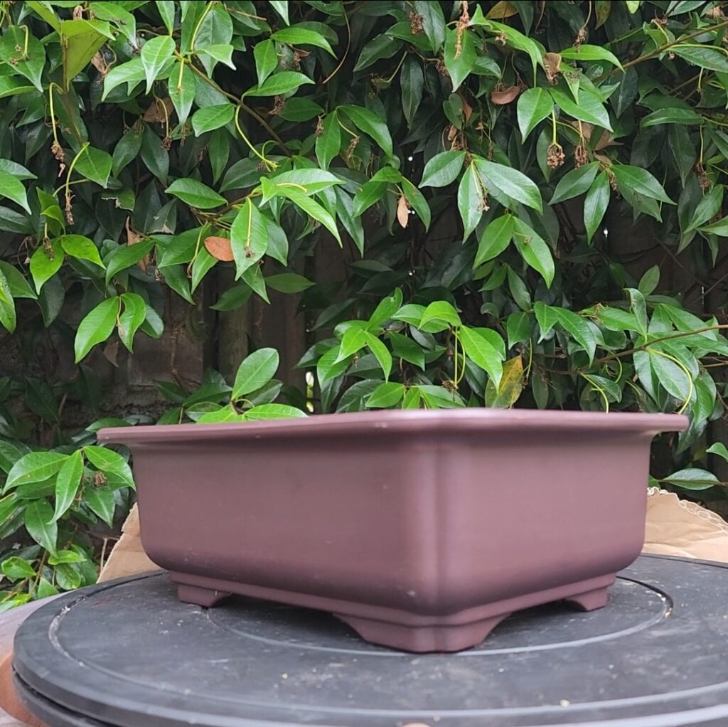 Premium Quality Plastic Pots-20cm Rectangle – NZ No1 Bonsai Pots supplier