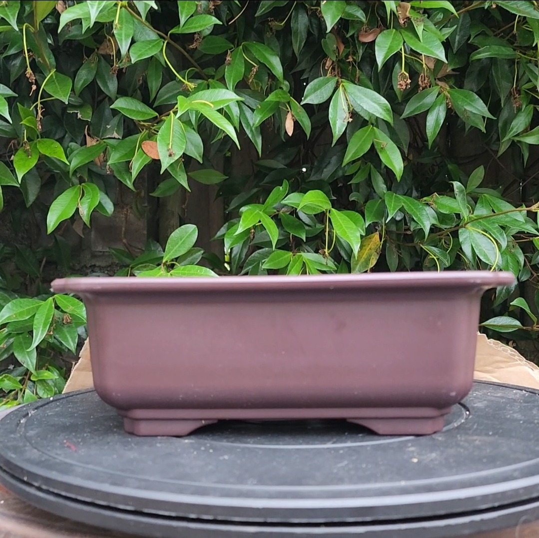 All Bonsai pots – NZ No1 Bonsai Pots supplier
