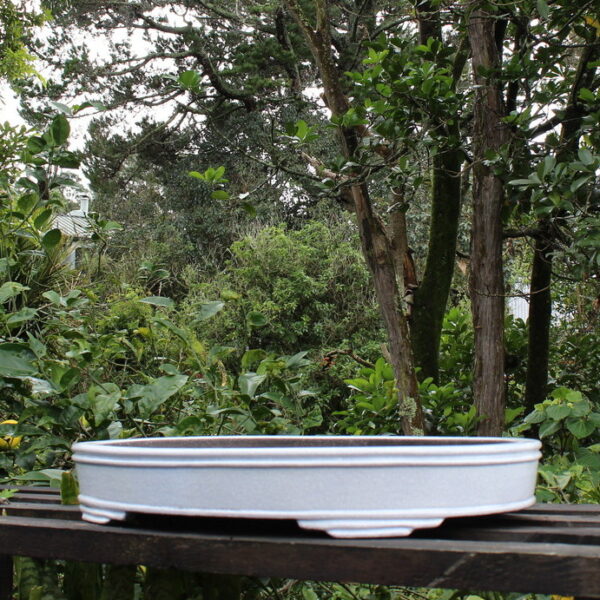 Large Glazed Oval Bonsai Pot 60cm – NZ No1 Bonsai Pots supplier